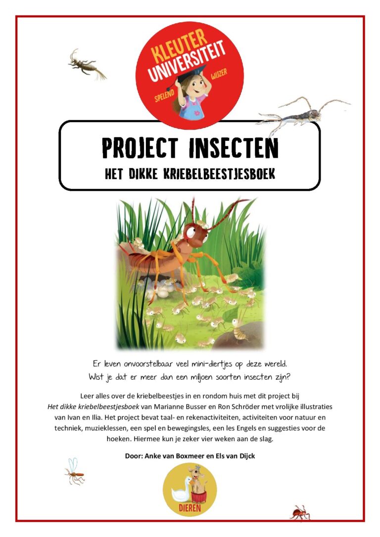 Insecten project – Kleuteruniversiteit