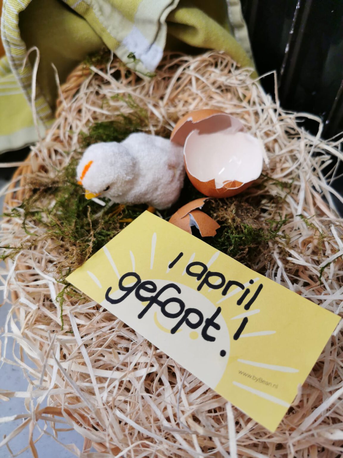 1 April kikker in je bil! – Kleuteruniversiteit